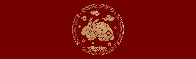 Lunar New Year Event at Central Library · B.C. Chinese Music Association